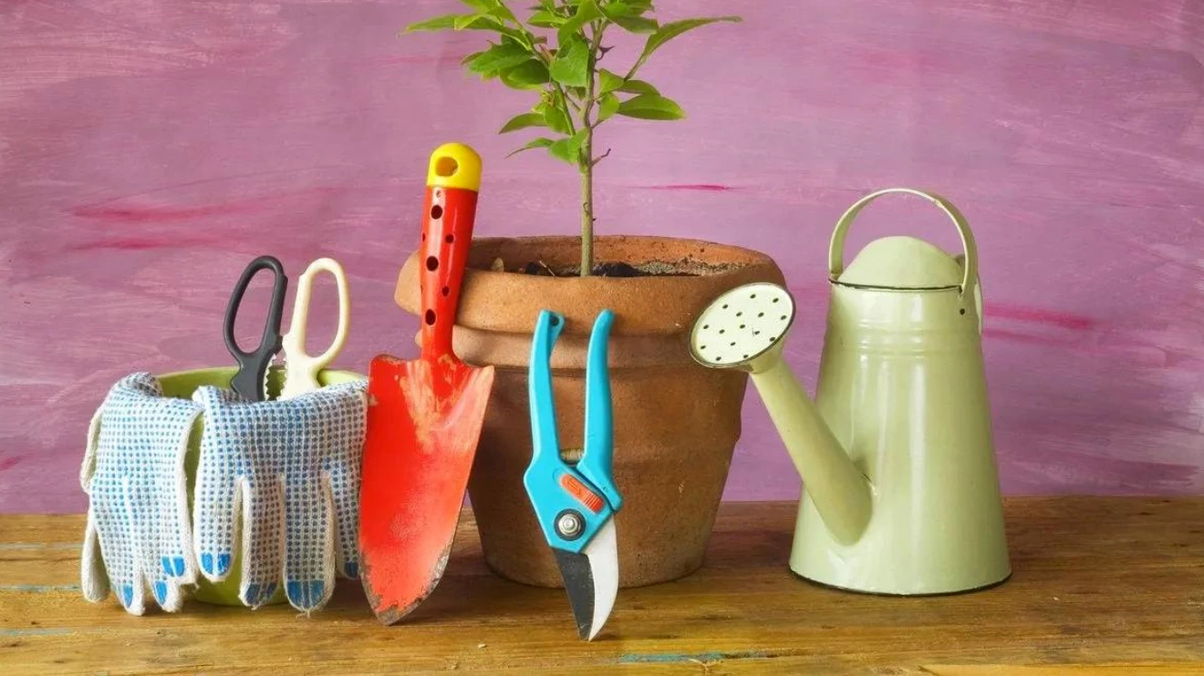 15 Best Gardening Tools to Grow Plants Along Your Tool Shed