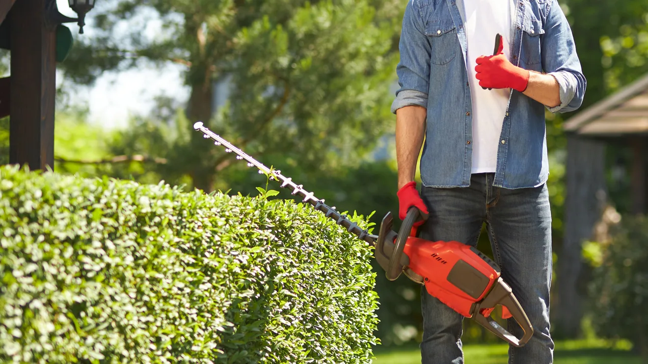 Best small hedge trimmer cordless store